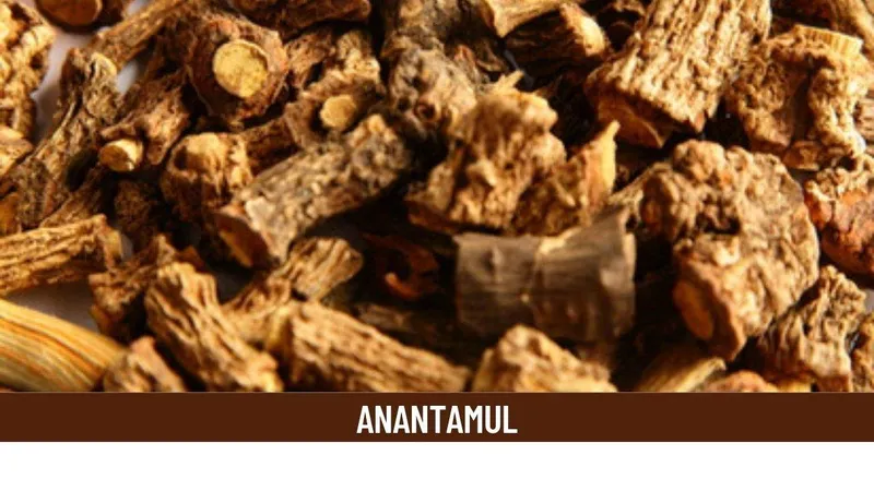 Anantamul : Health Benefits, Uses, Dosage and Side Effects